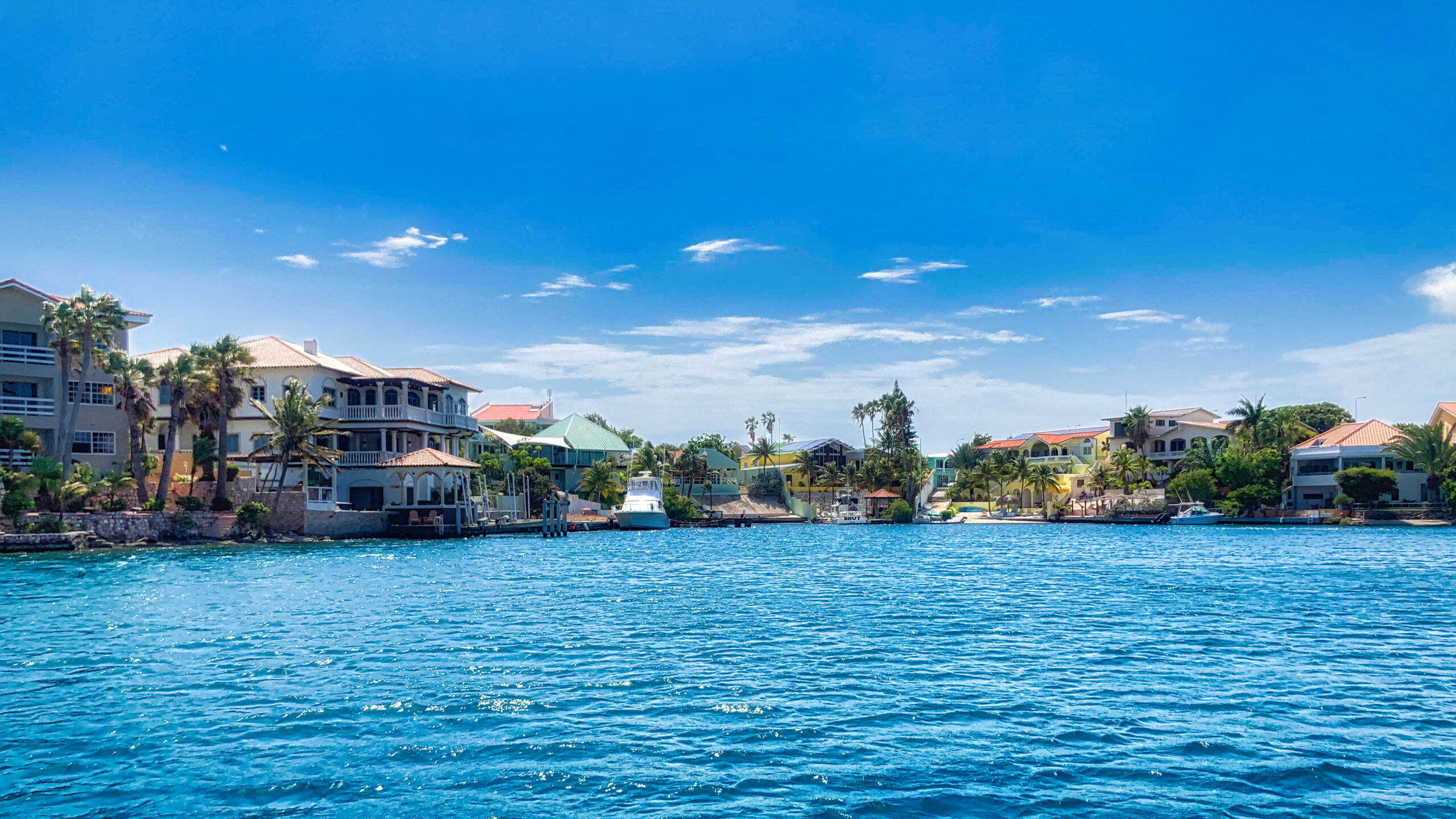 Trip And Treat VIP Boat Tours and Wakeboarding